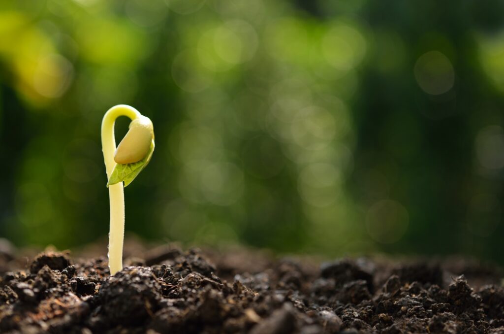 Les 3 Cycles de la méthode - Ecole de Sophrologie Caycédienne Annecy ...